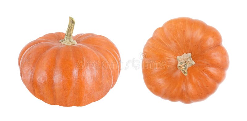Orange Pumpkin with Side and Top View Isolated on a White Background ...
