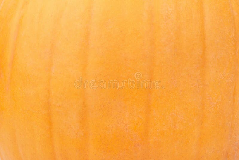 24,575 Pumpkin Texture Photos - Free & Royalty-Free Stock Photos from ...