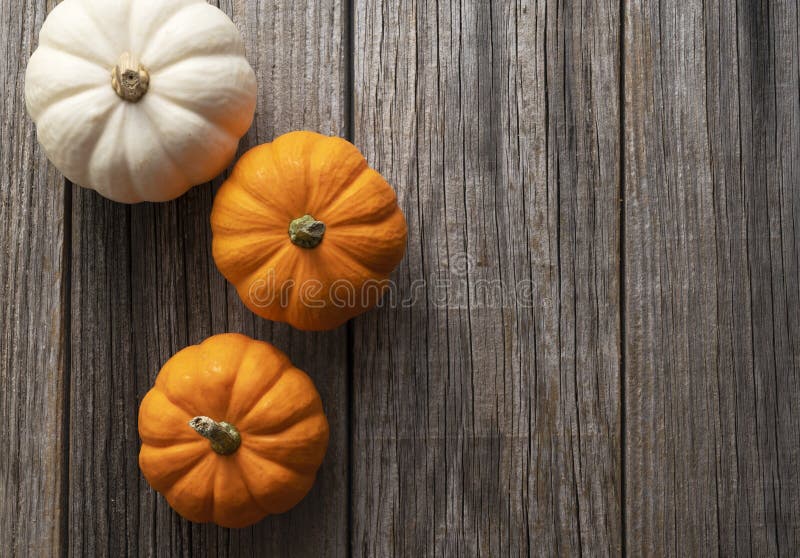 Orange Pumpkin and White Pumpkin on an Old Wood Stock Image - Image of ...