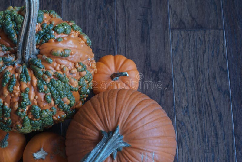 Bumpy pumpkin skin stock photo. Image of agriculture - 10678010