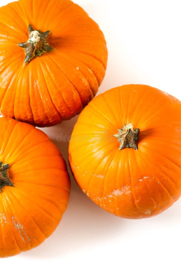 Orange pumpkins stock photo. Image of vegetabilis, veggie - 35059368