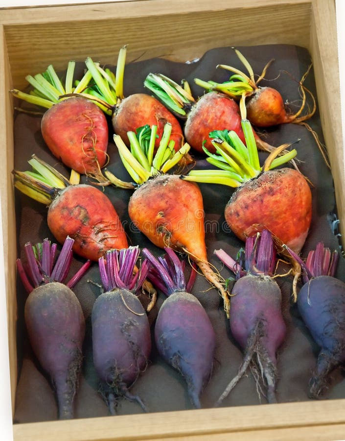 Orange and Purple Beet Vegetables in Wood Box Stock Image - Image of ...