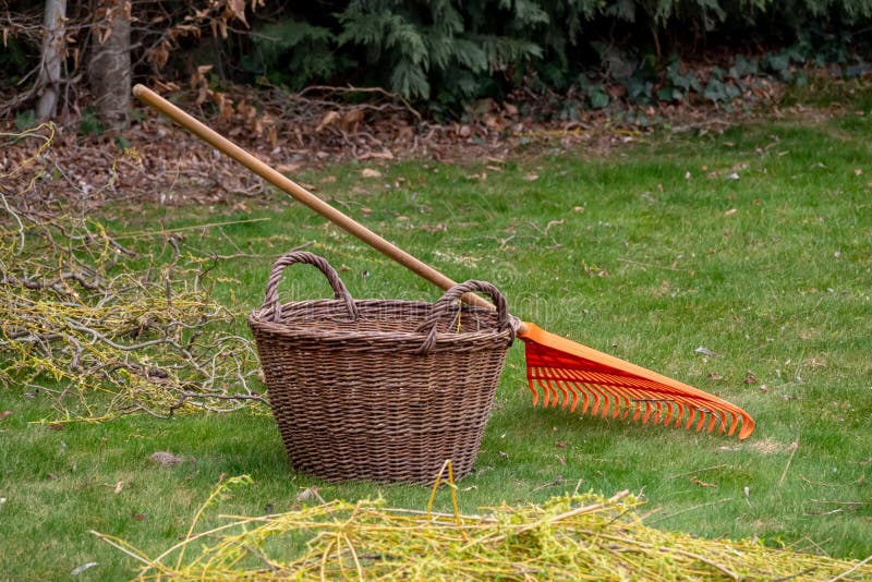 Orange Rake Next To a Basket in the Garden Stock Photo - Image of ...