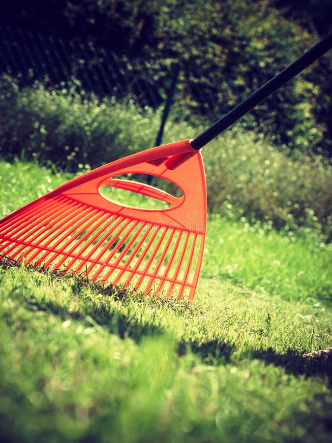 Orange Rake on Stick Collecting Grass, Garden Tools Stock Photo - Image ...