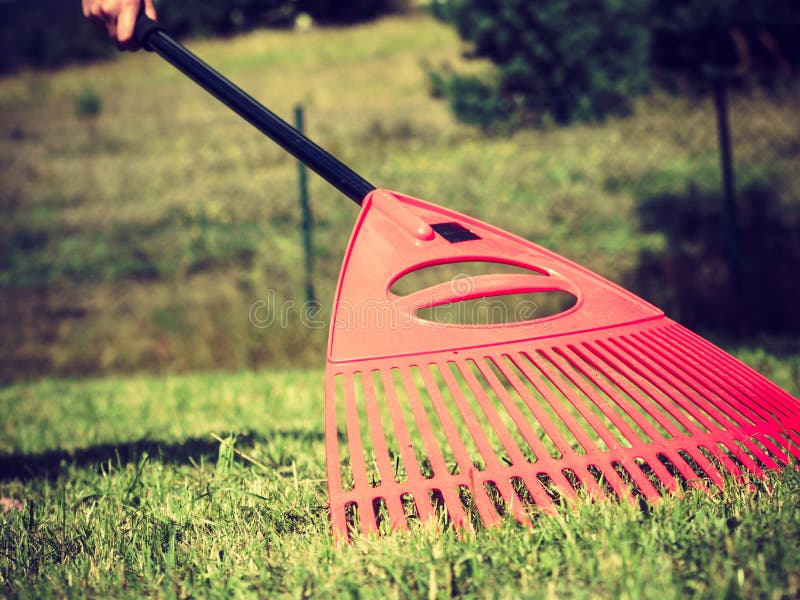 Orange Rake on Stick Collecting Grass, Garden Tools Stock Photo - Image ...