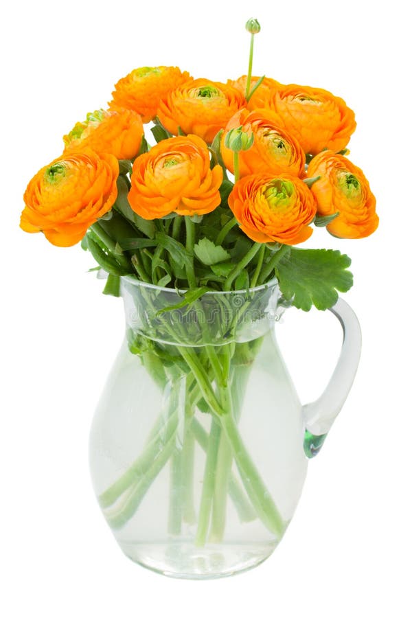 Orange ranunculus bouquet stock photo. Image of flowers - 30991868