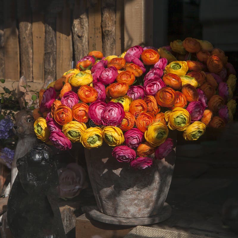 Orange ranunculus bouquet stock photo. Image of flowers - 30991868