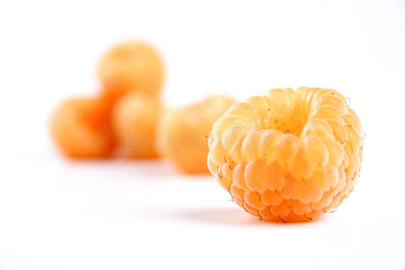 Orange raspberries stock photo. Image of fresh, colorful - 51666744