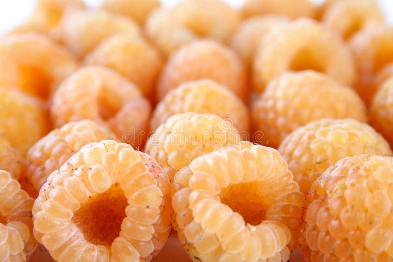 Orange raspberries stock photo. Image of close, food - 51665444