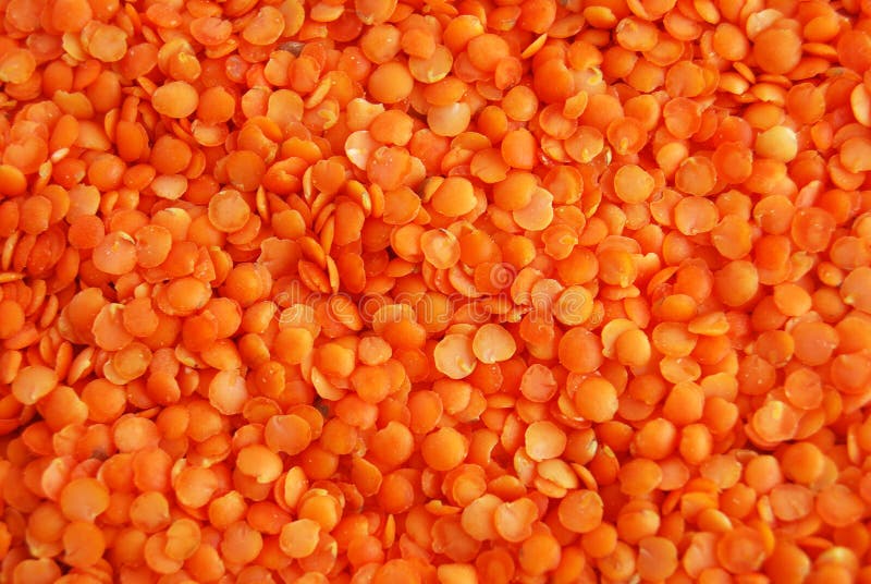 Orange/red lentil seeds stock photo. Image of orange, herbs - 6413694