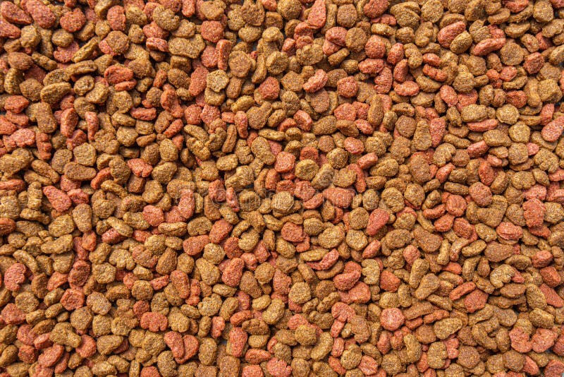 Orange-red Nutritious Cat Dry Food is Scattered on the Surface ...