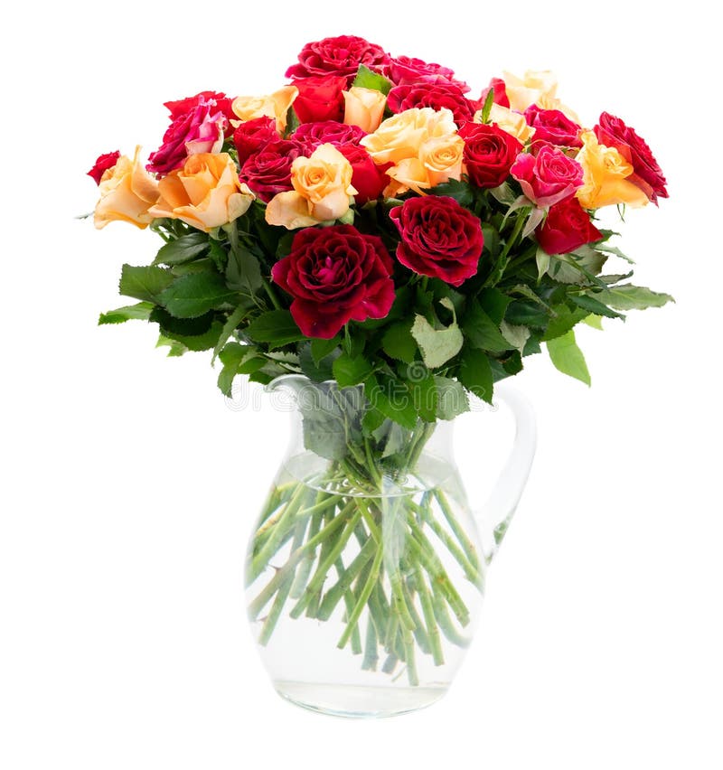 Orange and red roses stock photo. Image of holiday, blooming - 183199716