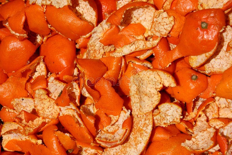 Orange Rind, Bask in the Sun Stock Photo - Image of color, cover: 40832686