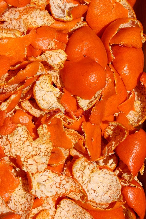 Orange Rind, Bask in the Sun Stock Image - Image of nutritious, segment ...