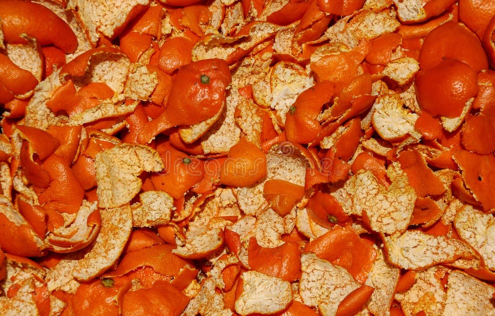 Orange rind stock photo. Image of skin, cover, orange - 40833332