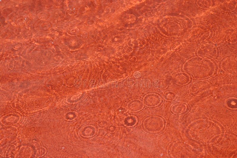 Orange rings 1 stock photo. Image of summer, warm, rings - 1123856