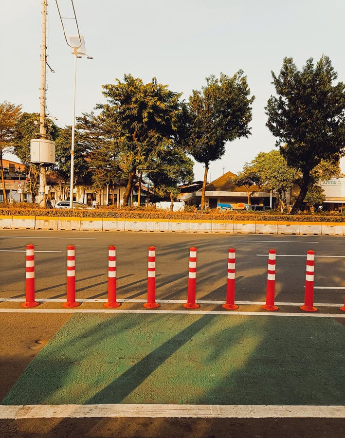 Orange road divider stock photo. Image of flower, stadium - 262132350