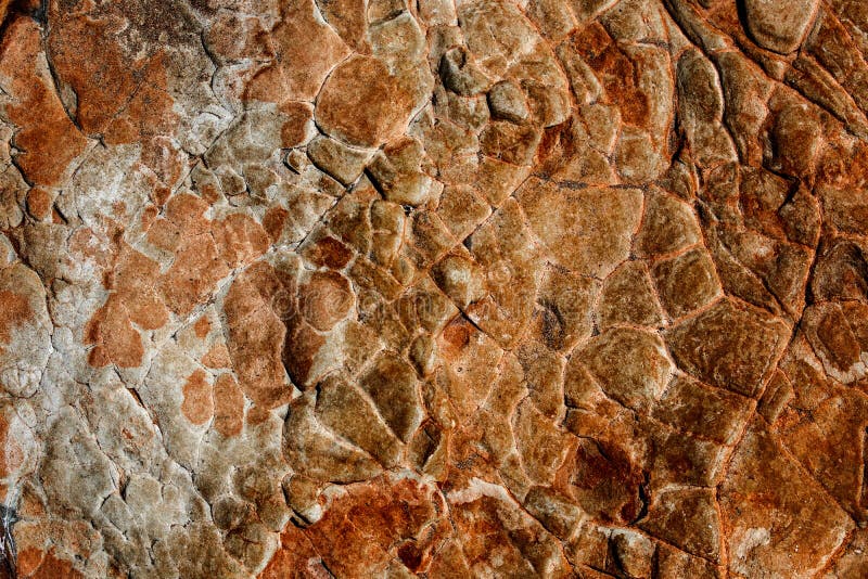 Orange Rock Stone Texture Isolated and Huge Collection of Granite ...