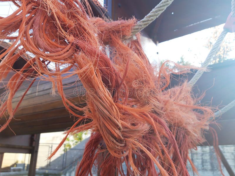 Rope Frayed in Tension stock photo. Image of damaged - 90374868