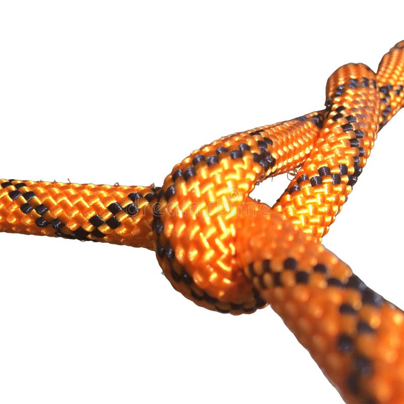 Orange Rope Tied To a Tree, Close-up, Isolated on a White Background ...