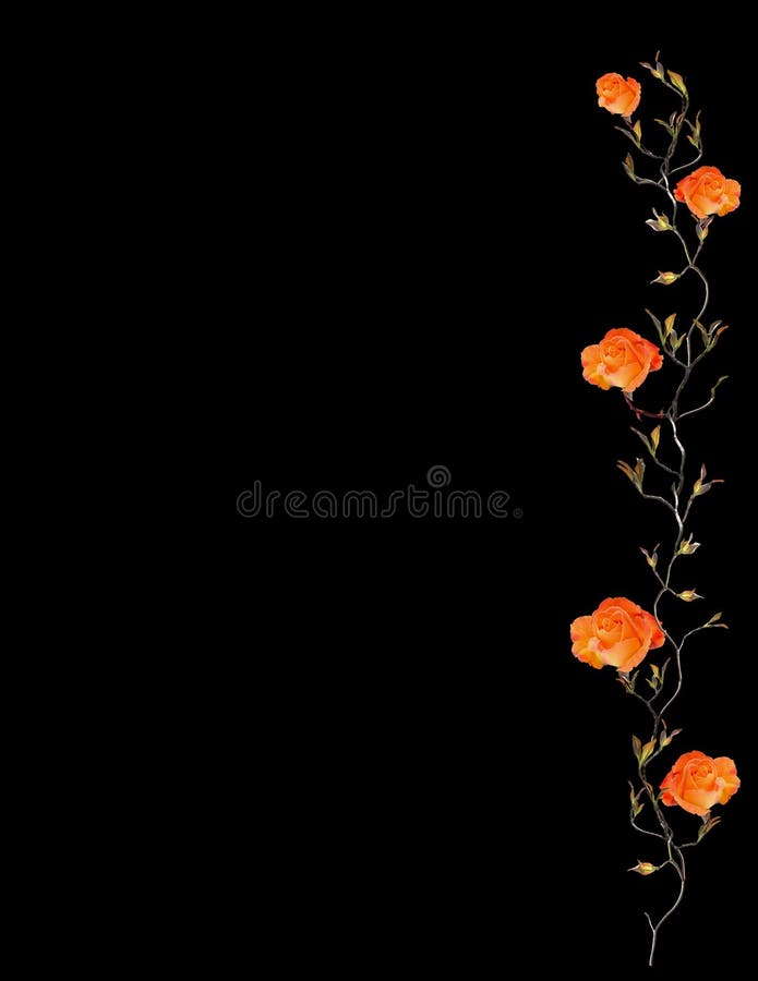 Orange Rose Border with Black Copy Space Stock Illustration ...