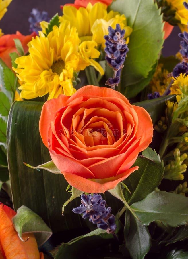 Orange Rose in a Floral Arrangement Stock Image - Image of plant ...