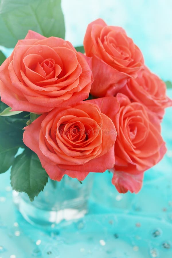 Orange roses stock photo. Image of macro, head, love - 51394538