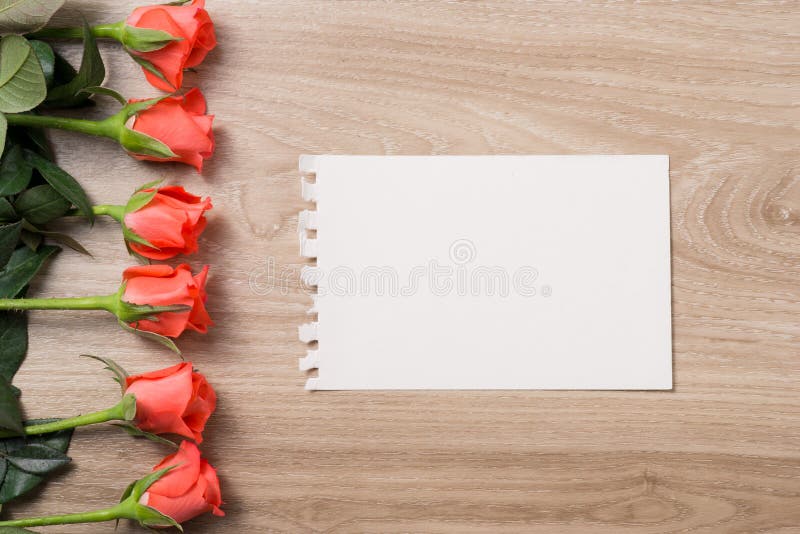 Orange Roses with Blank Card. Stock Image - Image of background, buds ...