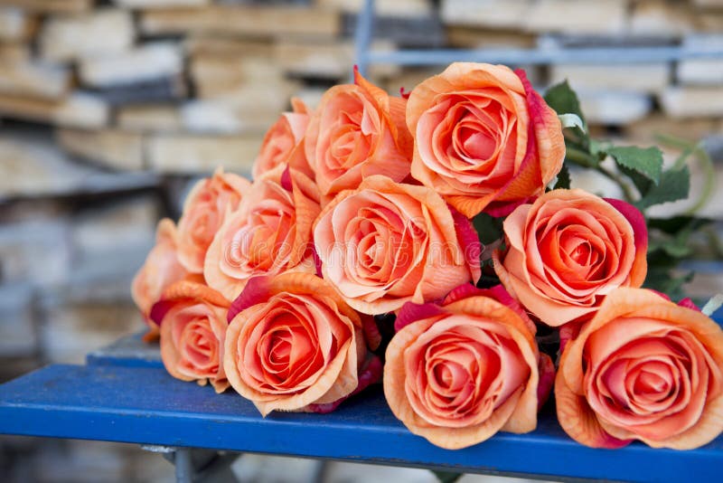 Orange Roses on a Blue Rustic Chair Stock Photo - Image of gift, card ...