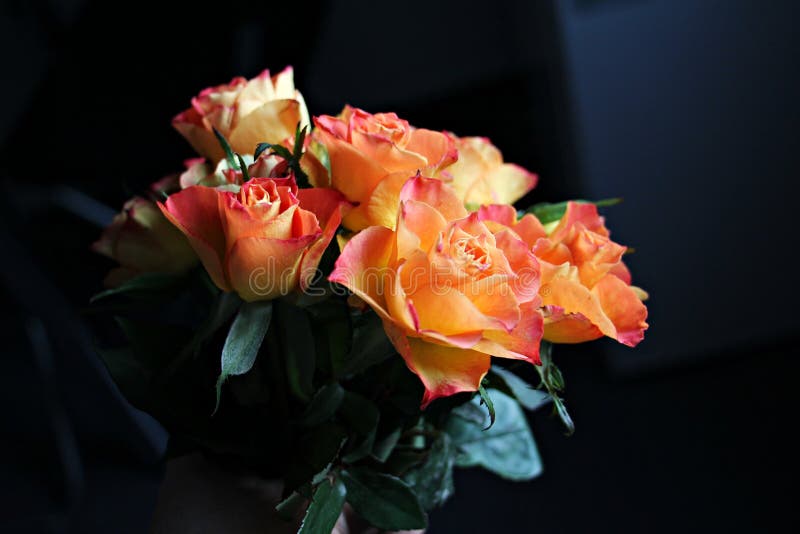 Orange roses bouquet stock photo. Image of flowers, rose - 89924342