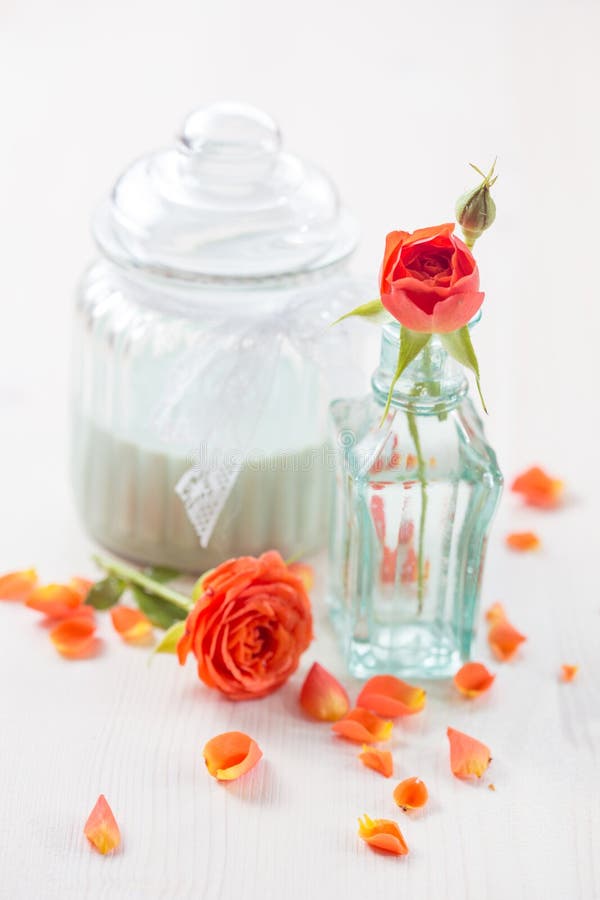 Orange roses stock photo. Image of beauty, household - 39723588