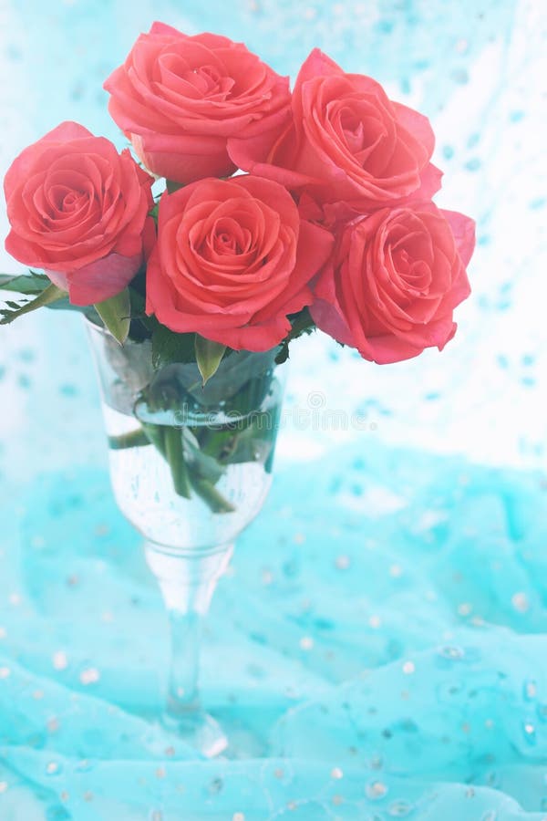 Orange Roses in Clear Glass, Tinted Stock Image - Image of bouquet ...