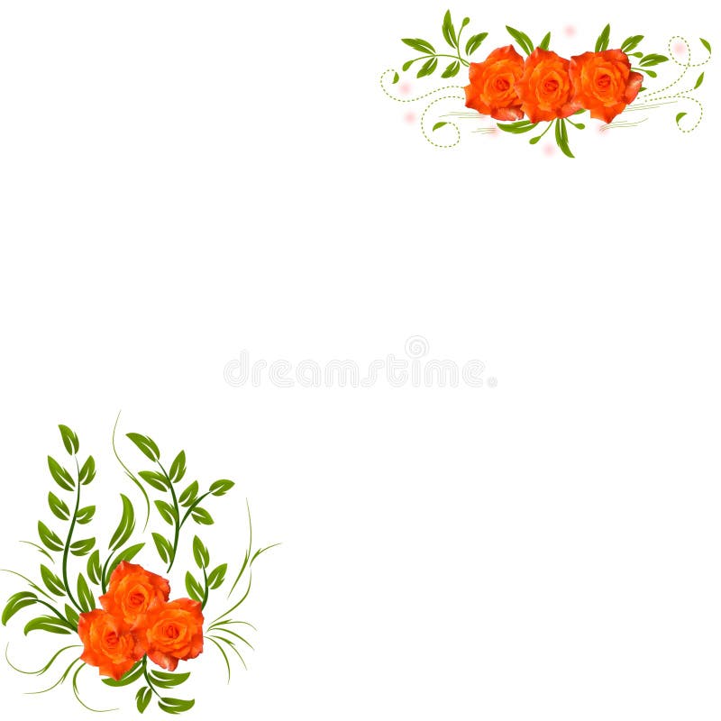 Orange roses floral stock illustration. Illustration of border - 87597461