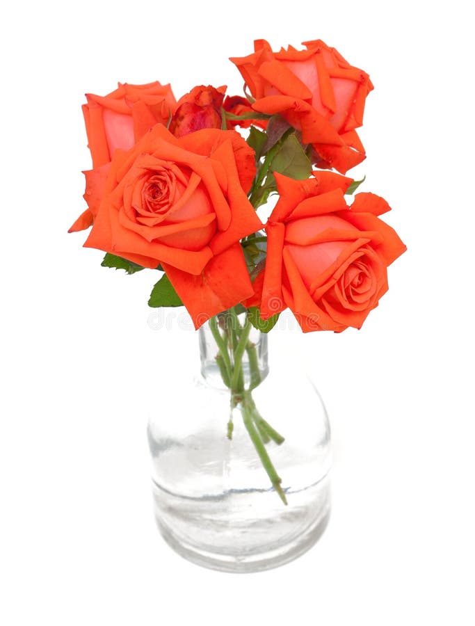 Orange Roses in a Glass Vase Stock Image - Image of detail, floristry ...