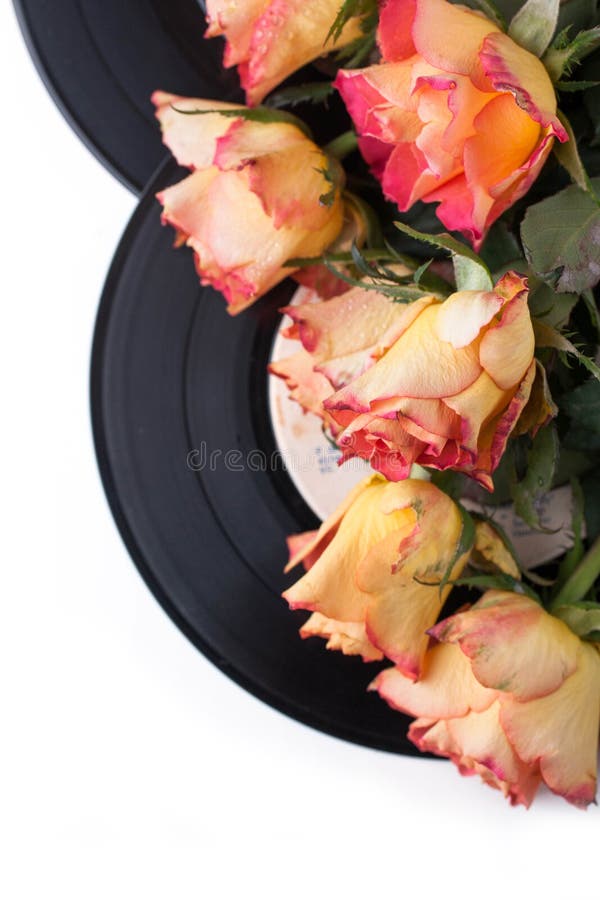Orange Roses with Old Records Over White Stock Photo - Image of bunch ...