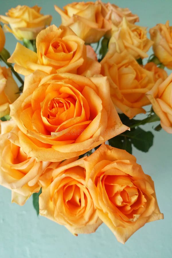 Orange roses in vase stock photo. Image of roses, pattern - 45002426
