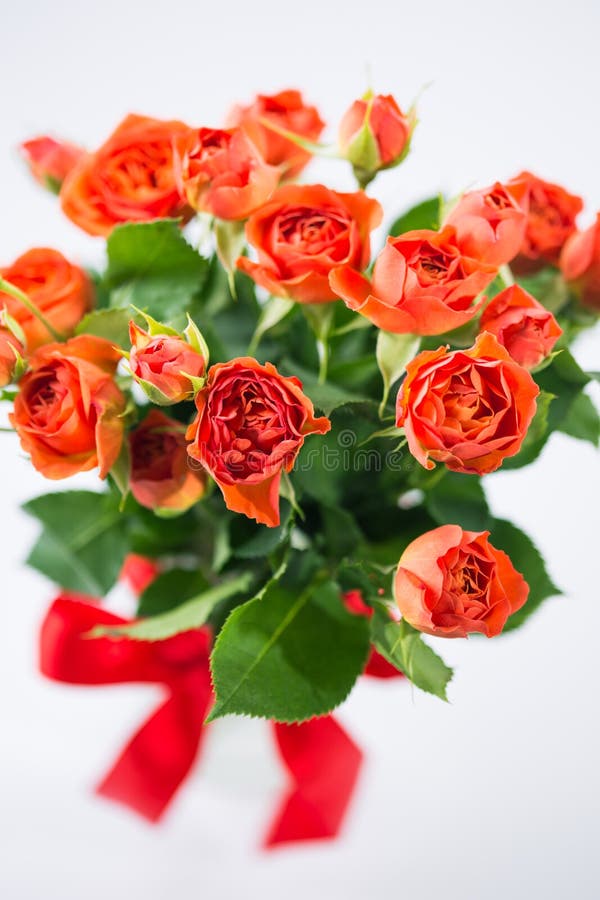 Orange roses in vase stock image. Image of roses, plant - 39723577