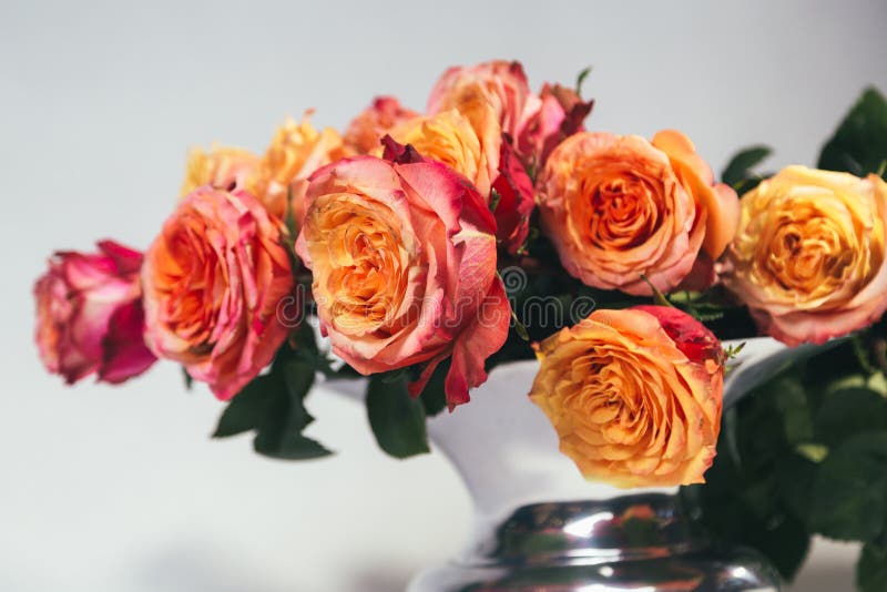 Orange Roses in Vase on a Gray Background Stock Image - Image of leaf ...