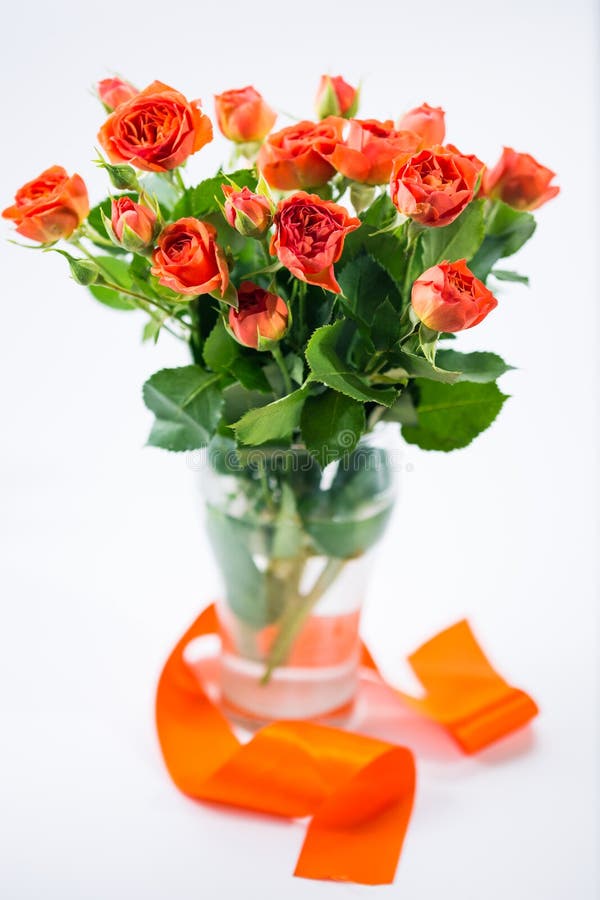 Orange roses in vase stock photo. Image of birthday, glass - 39525538