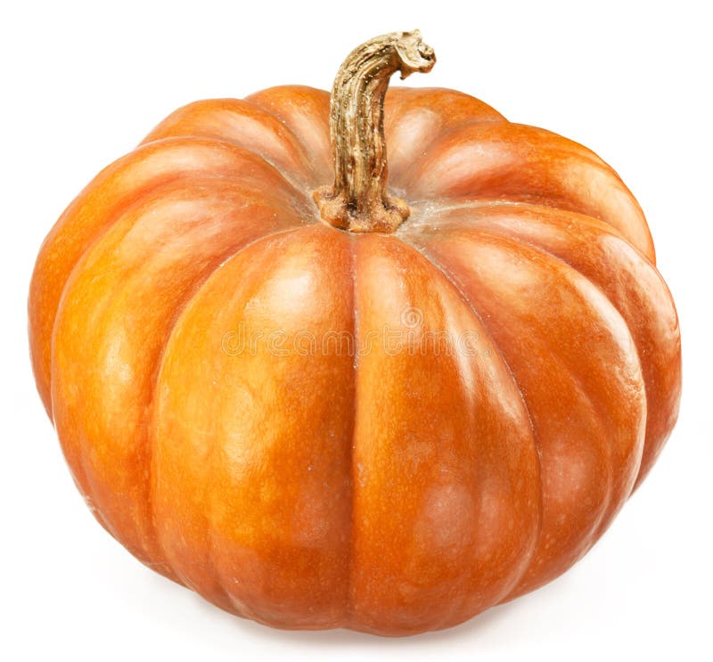 Orange Round Pumpkin Isolated on White Background Stock Photo - Image ...