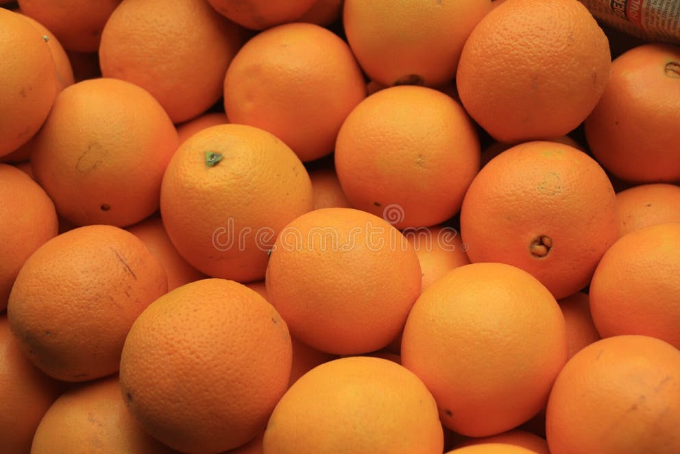 Orange in a row at market stock photo. Image of organic - 265479778
