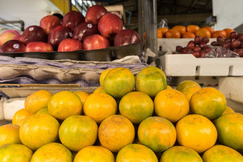 Orange for sale stock photo. Image of people, life, still - 64515334