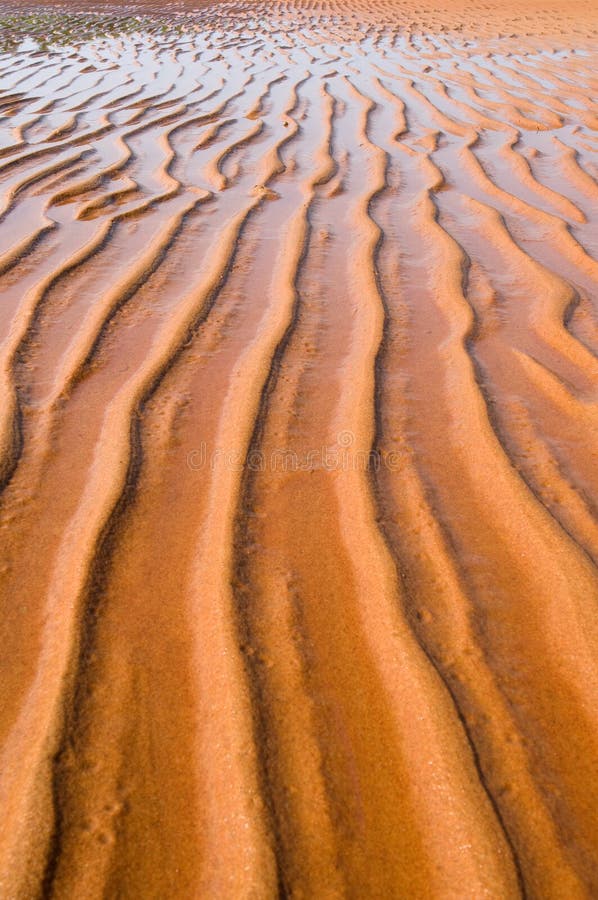 Orange sand stock image. Image of tide, wavy, sandy, beachy - 22815073