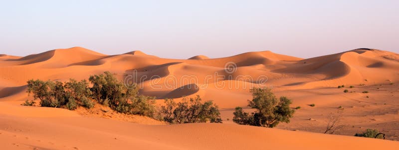 Orange Sand Dunes at Erg Chebbi, Morocco Stock Photo - Image of morocco ...