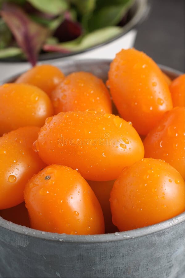 Orange Santa tomatoes stock photo. Image of grape, orange - 40084696