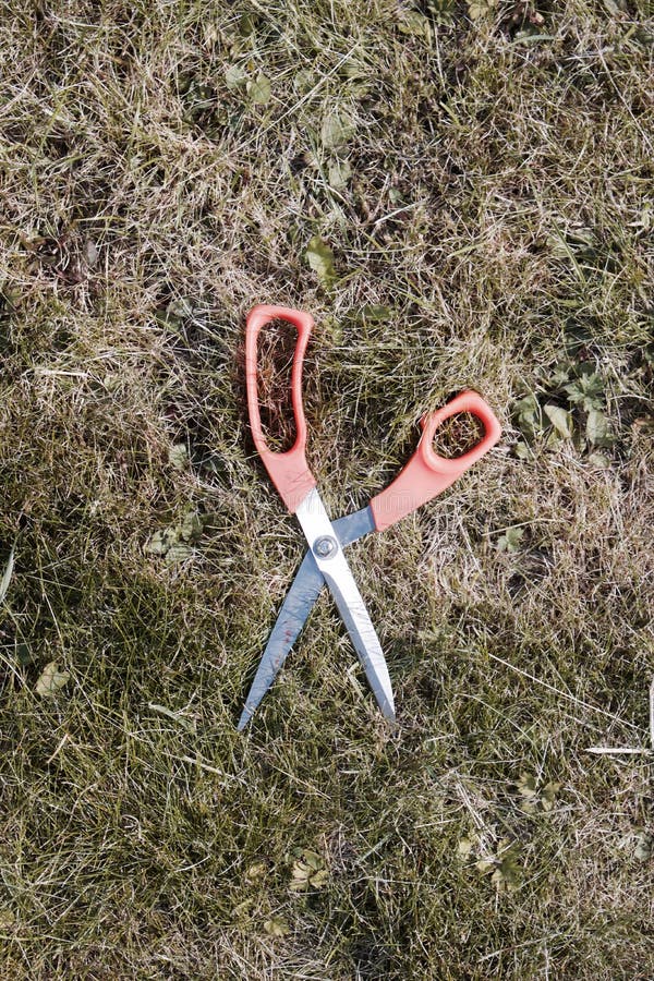 Orange scissors in garden stock image. Image of orange - 96934699