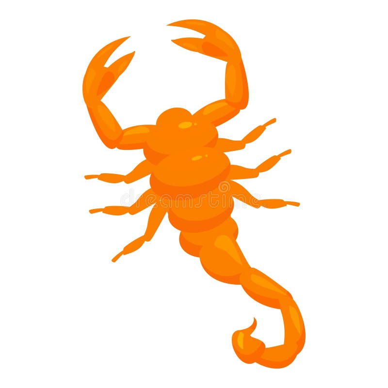 Orange Scorpion Standing on White Background Stock Illustration ...