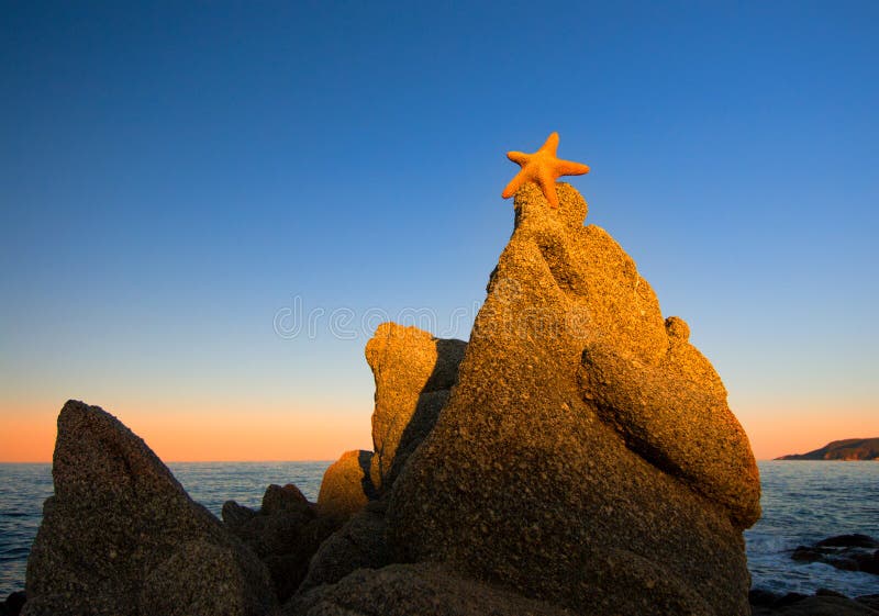 Orange Sea Star on Rocks by the Sea at Sunset Stock Image - Image of ...