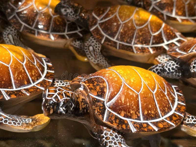 Orange sea turtles stock image. Image of black, ocean - 353425105