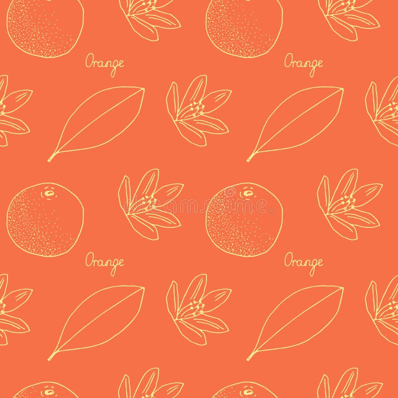 Orange Seamless Pattern, Vector Illustration, Hand Drawn Sketch, Orange ...